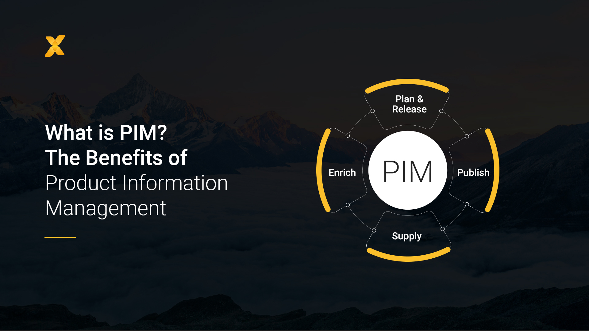 What Is PIM The Benefits Of Product Information Management