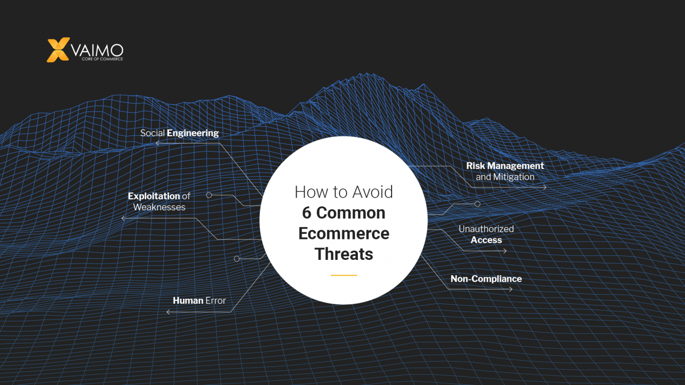How to Avoid 6 Common Ecommerce Threats