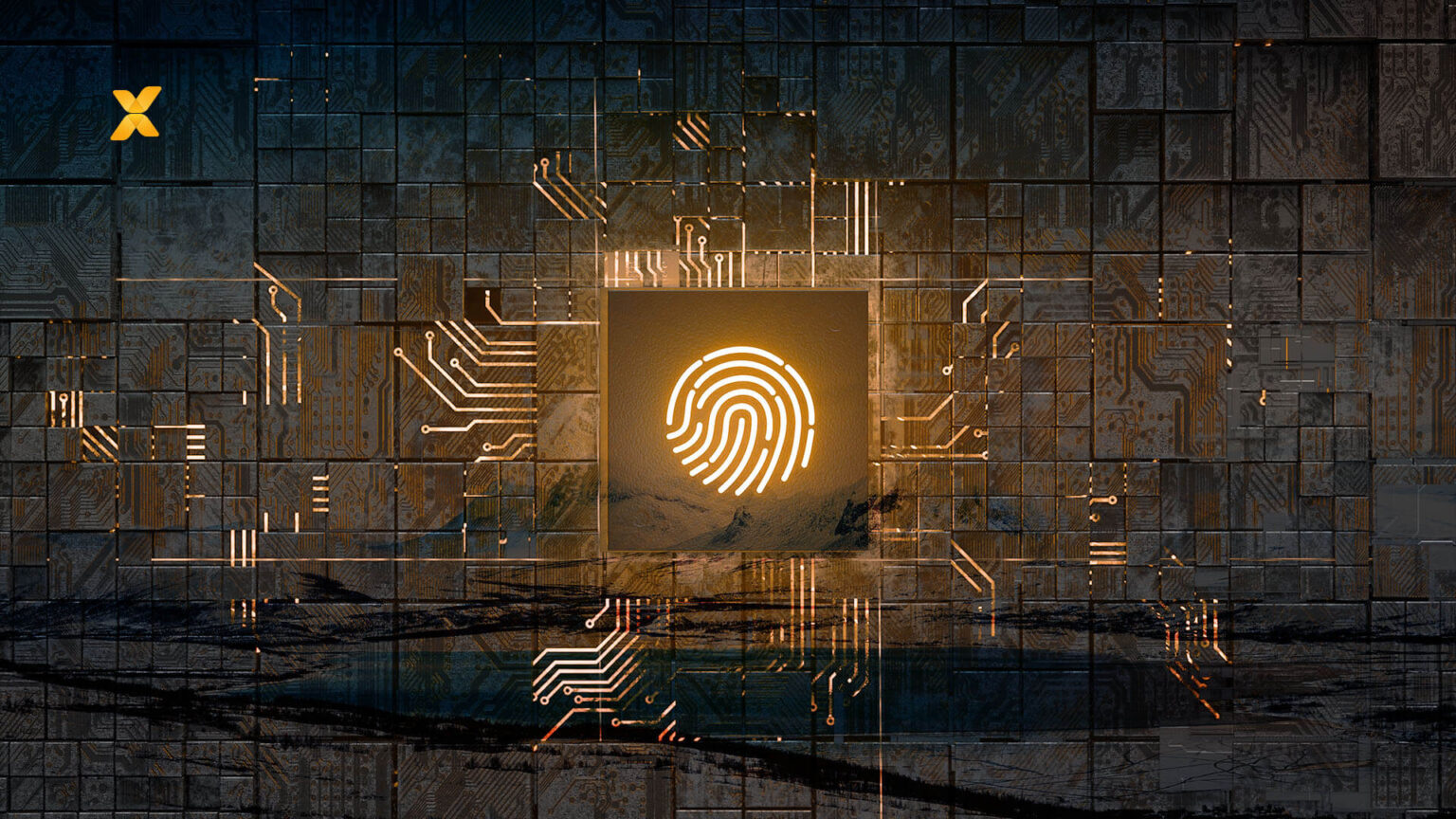 Ecommerce Security: A Comprehensive Guide