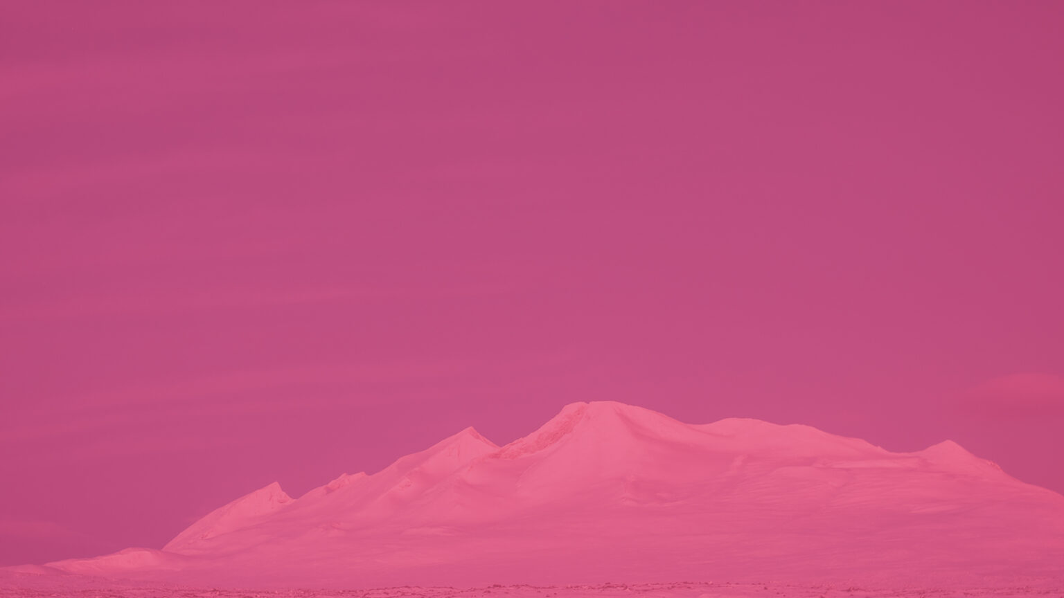 Q&A: Highlights from our AI Assistant Masterclass | Vaimo